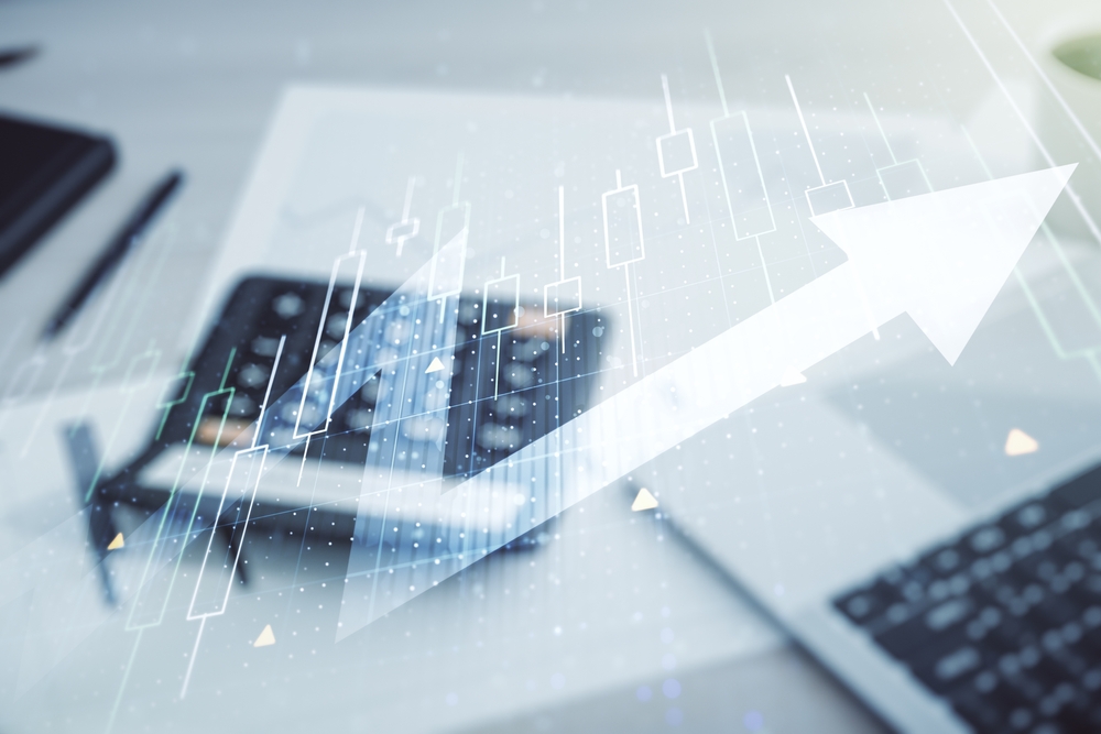 Cost Considerations in RIS Implementation: Planning for Success Cost Considerations in RIS Implementation: Planning for Success